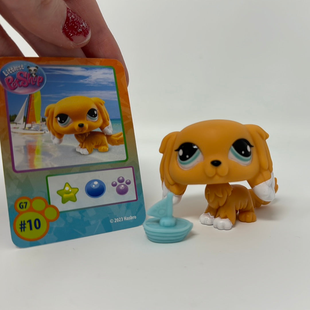 Littlest Pet Shop LPS G7 KING CHARES SPANIEL #10 Surprise – shophobbymall