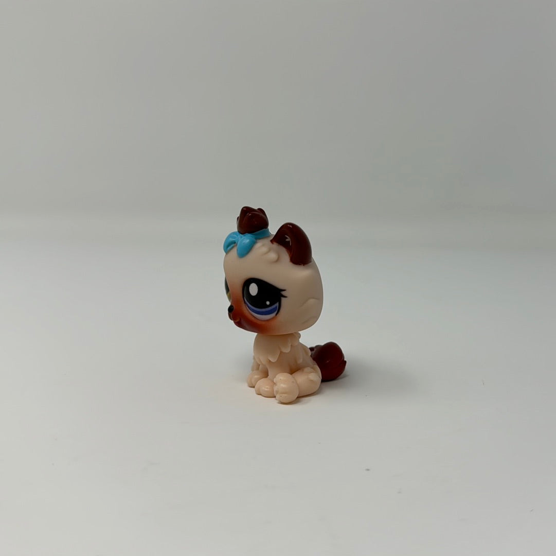 LPS Littlest Pet Shop Series 1 G7 Gen 7 Blind Box #4 Himalayan Cat ...
