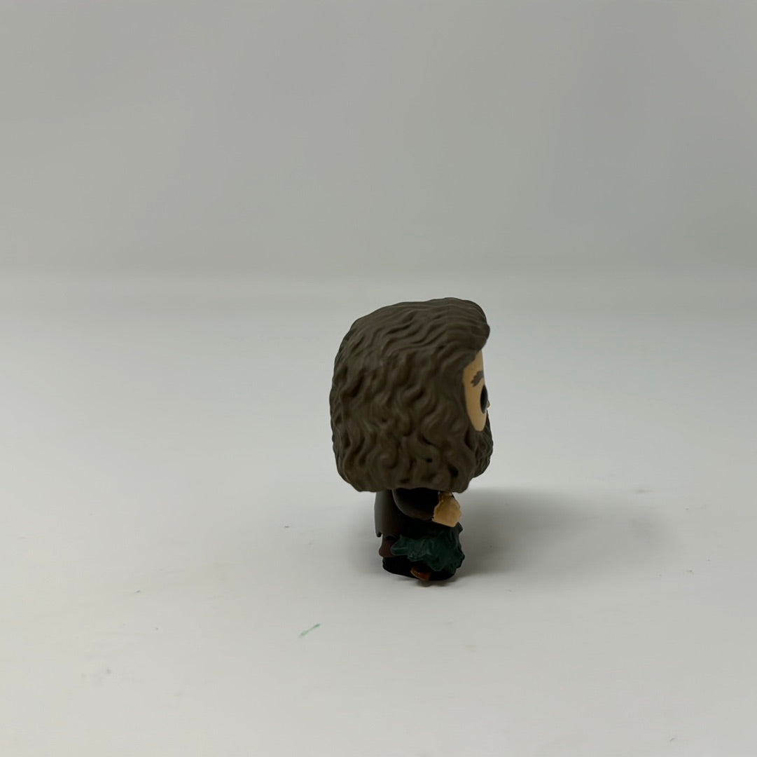 Funko Pocket Pop Advent Calendar 2020 Harry Potter Rubeus Hagrid (Tree ...