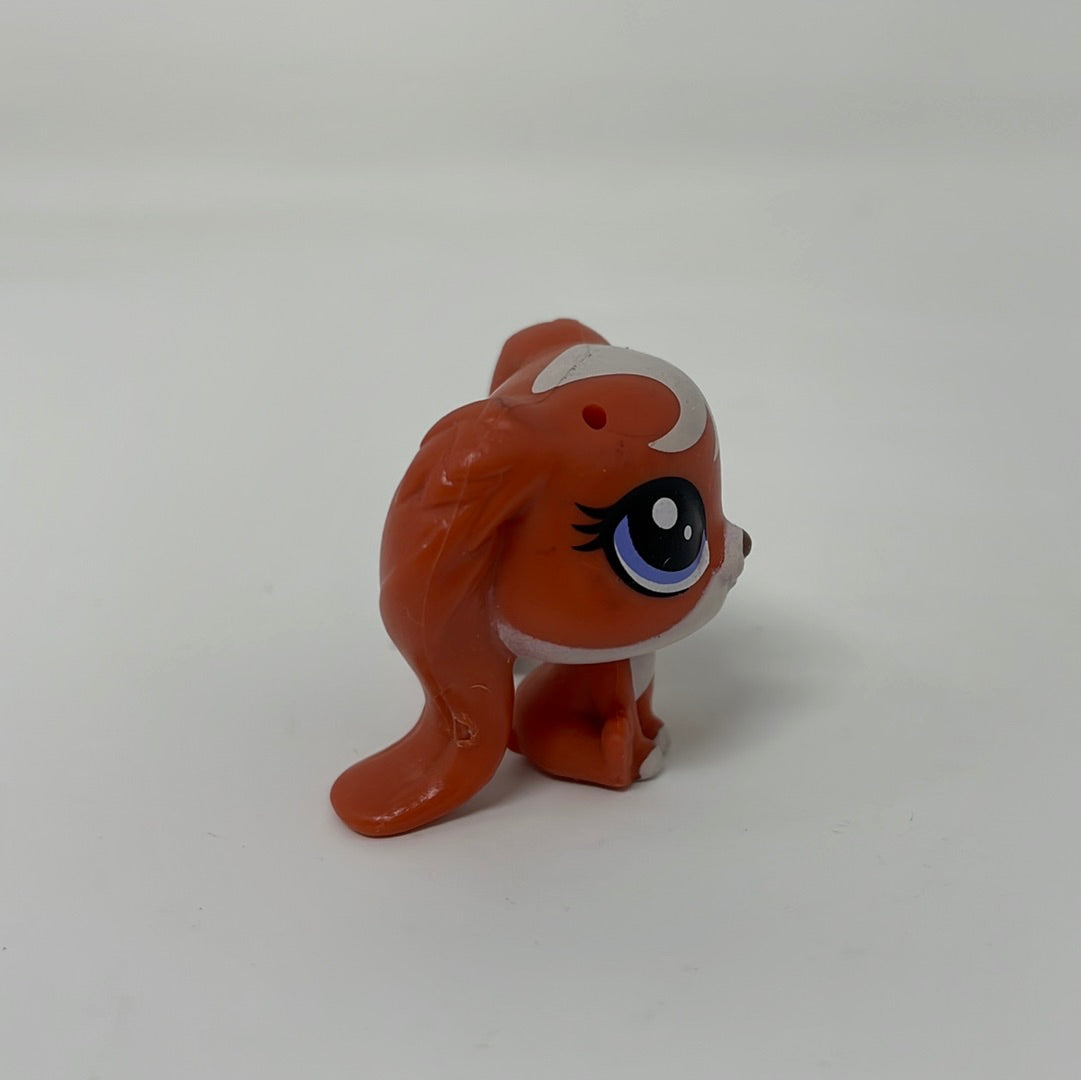 Littlest Pet Shop LPS #335 Chonchita Chipley – shophobbymall