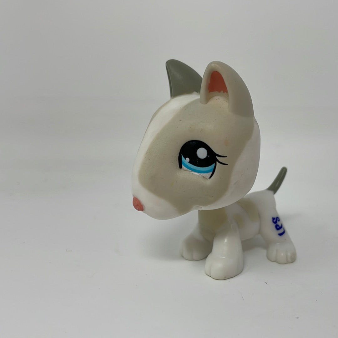 Littlest Pet Shop Bull Terrier #1665 Blue Eyes Dog Authentic LPS Rare ...